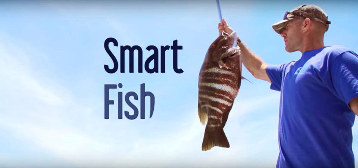 SmartFish BBVA Momentum – Smart Food