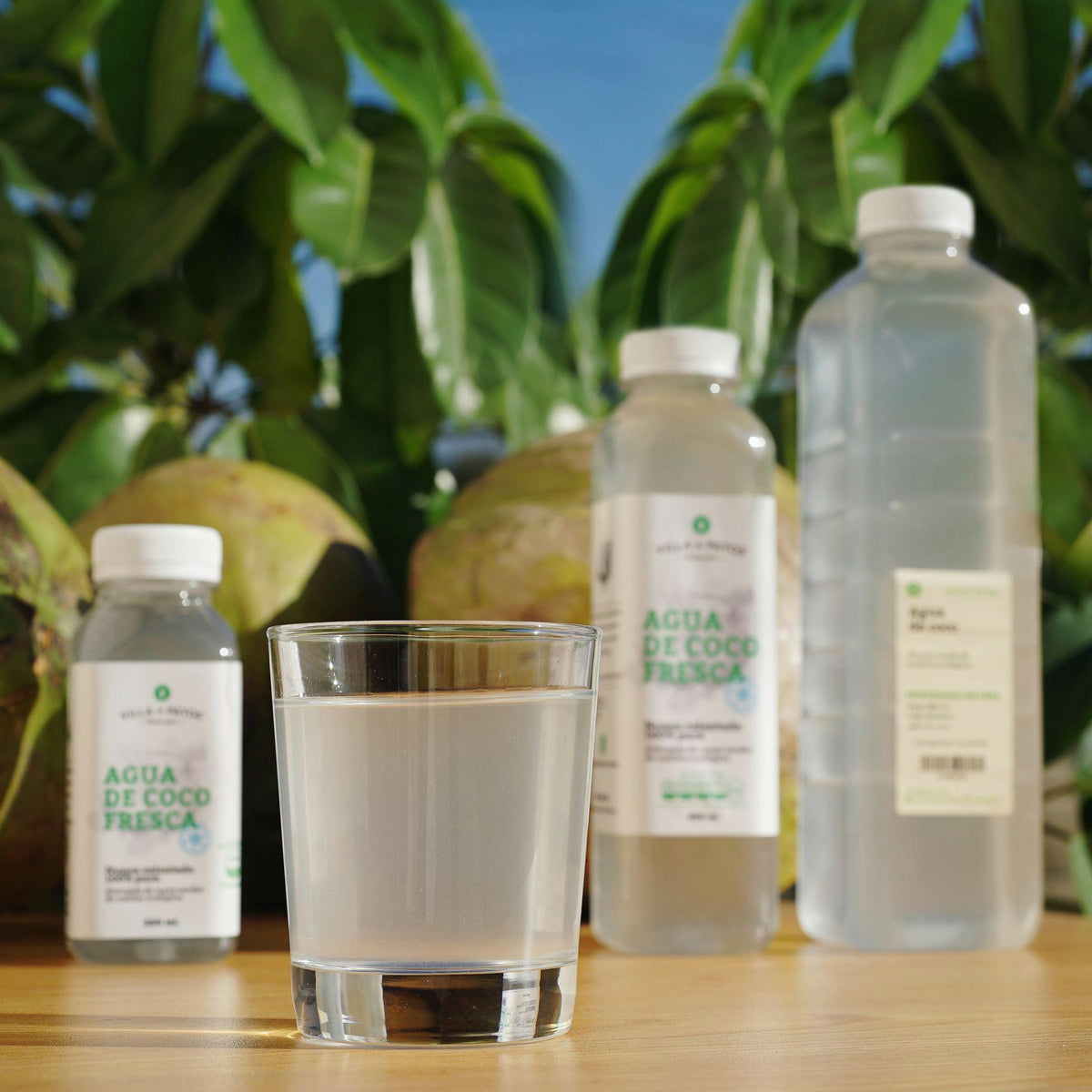 Agua de coco – Smart Food