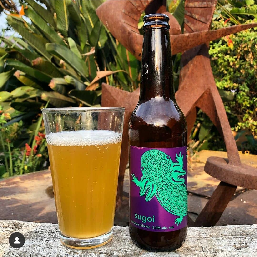 Cerveza Artesanal - Sugoi 355 ml – Smart Food